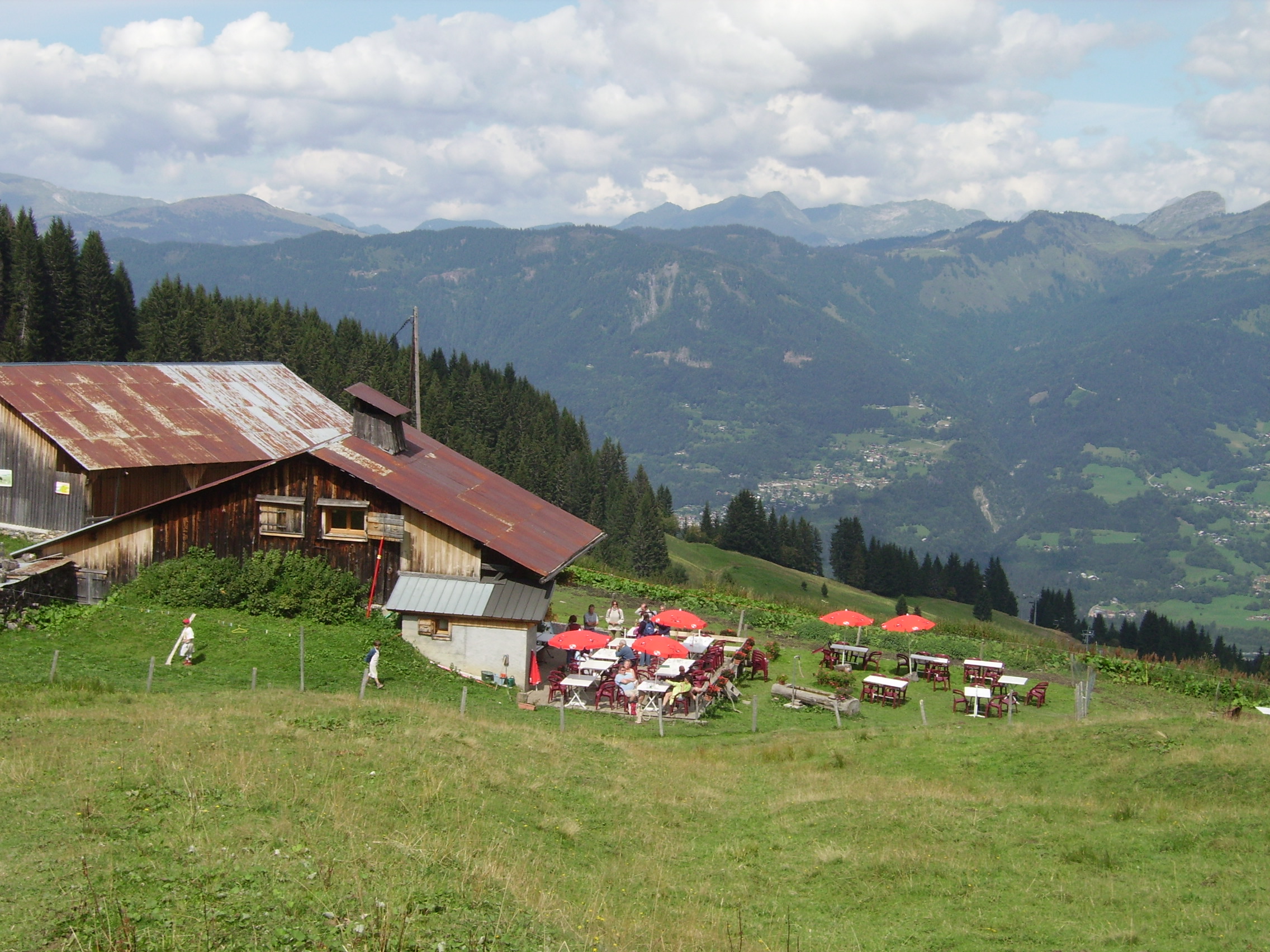 Morillon C10 - Summer