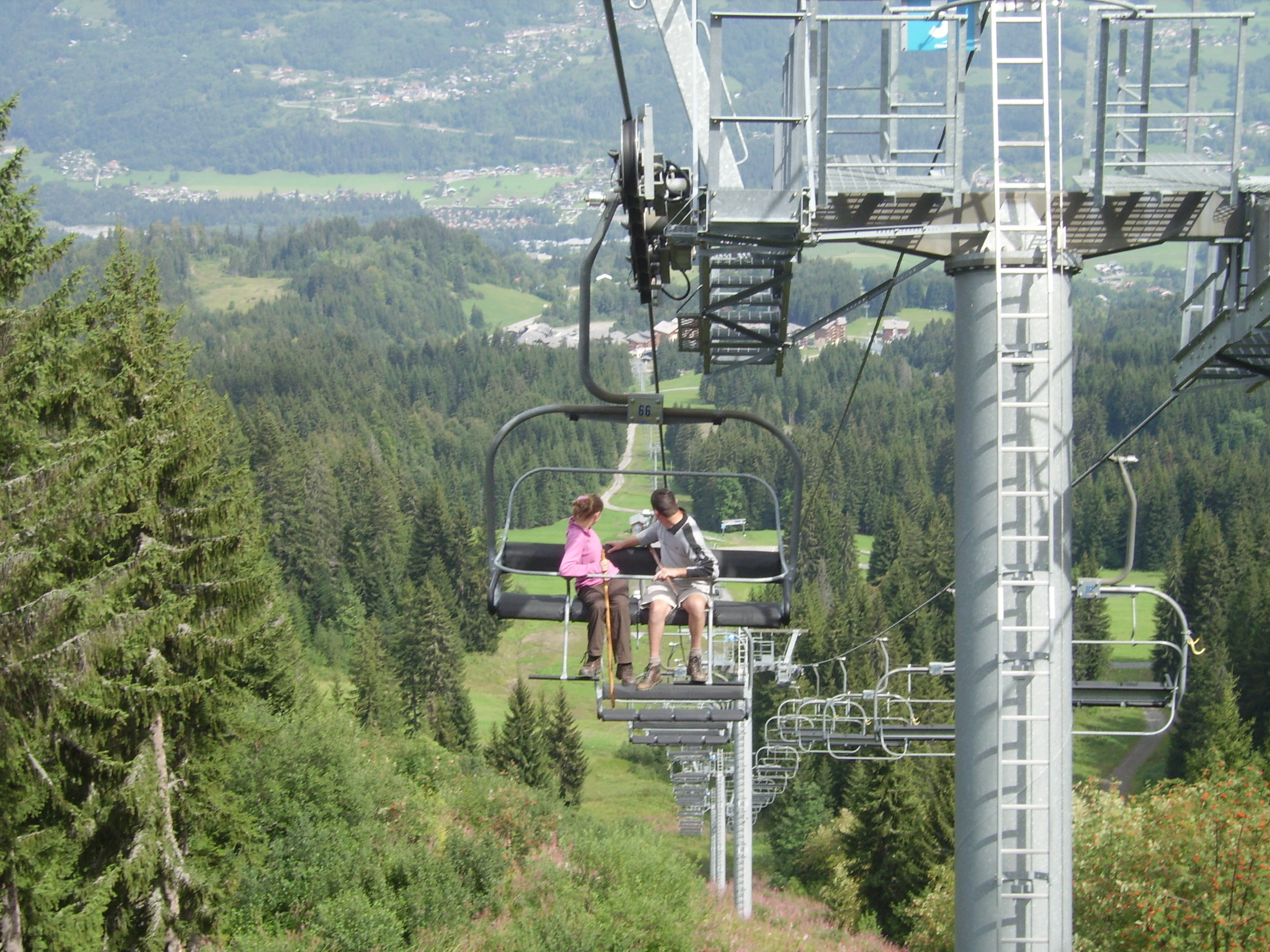 Morillon C10 - Summer